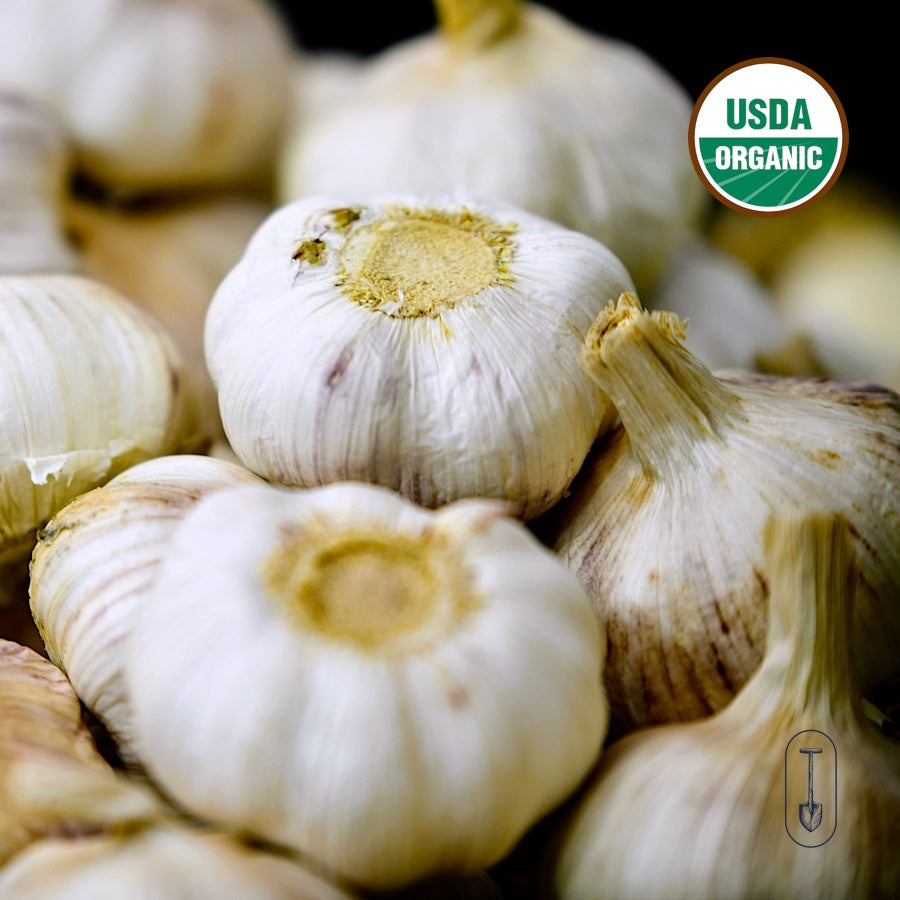 Zemo Garlic – Certified Organic | Taiga Farm & Seed